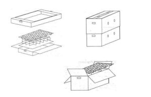 General Packaging Requirements of the IATA Frozen Cargo Packaging