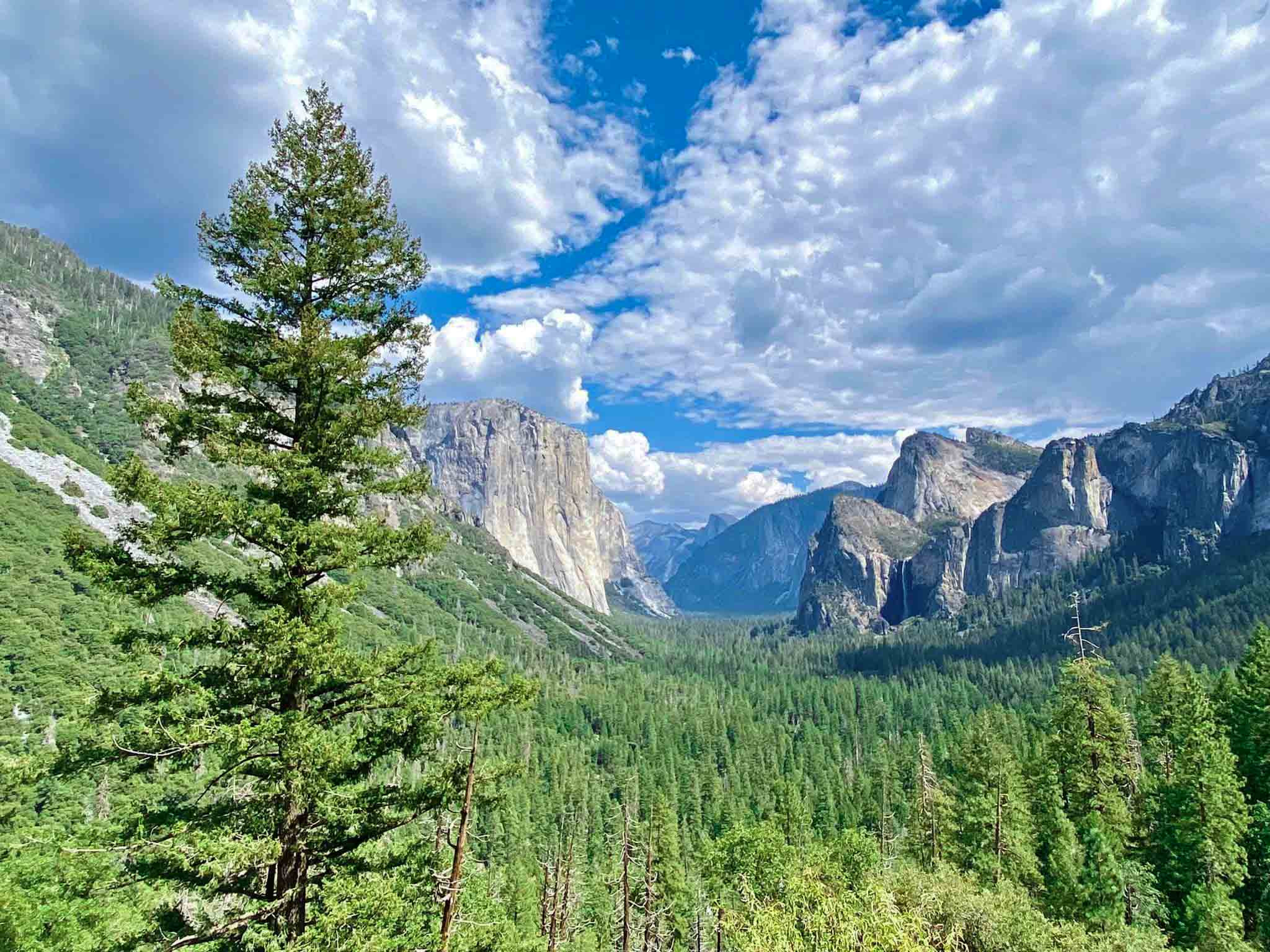 Khám Phá Vẻ Đẹp Hùng Vĩ Của Công Viên Quốc Gia Yosemite